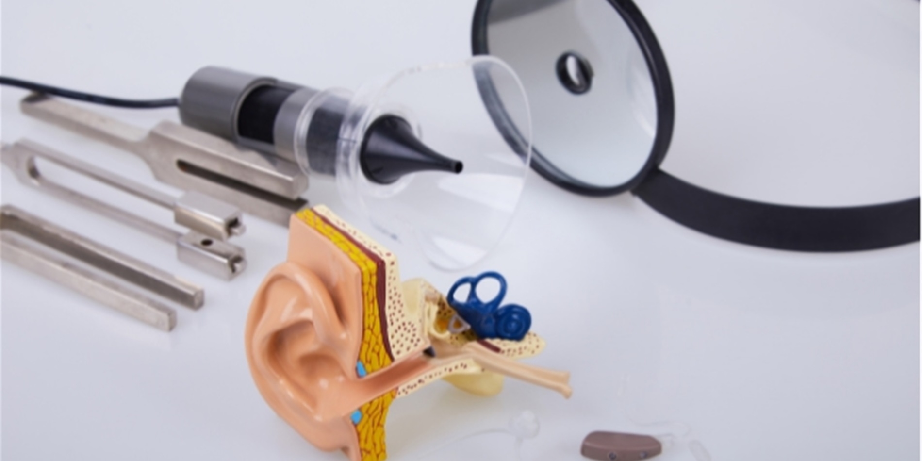 ORL 360 : une formation complète pour les professionnel(e)s de la santé ...